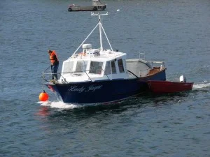 Boat trips and tours out to Staffa and Treshnish Isles, as well as ...