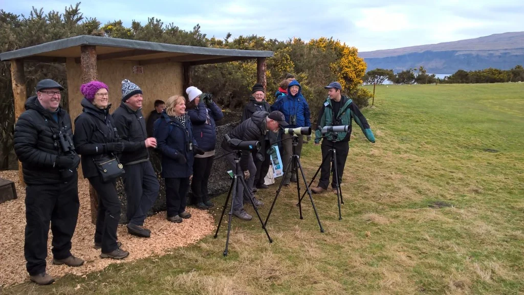 Mull Eagle Watch and Hide - The Isle of Mull